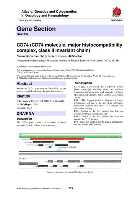 Pdf Cd74 Cd74 Molecule Major Histocompatibility Complex Class Ii Invariant Chain