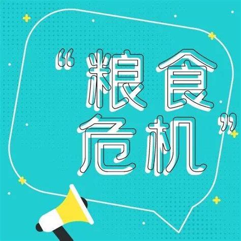 全球小麦价格涨超60！20多国禁止粮食出口，联合国发出警告！国家蒲式尔饥饿