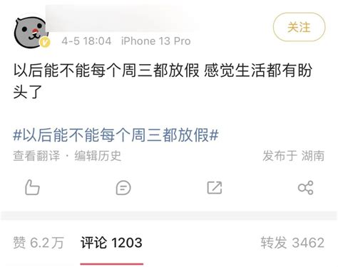 清明没调休，爽到网友畅想：“如果每个周三都放假”醒醒，还是先蹲蹲五一小长假吧放假工作制我愿意新浪新闻