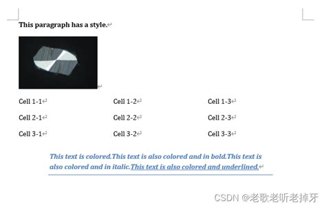 python之读写 docx文件实例 python from docx import document CSDN博客