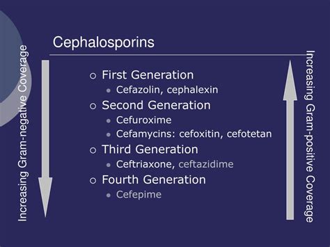 Ppt Antibiotic Basics Powerpoint Presentation Free Download Id 2998851