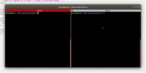 Node Js Connection Socket Io Incremented After Stopping The Server