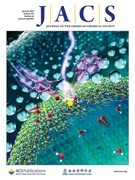 Jacs期刊封面图 Scihua 站酷zcool