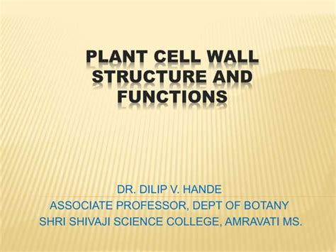Cell Wall Structure Composition And Functions Pptx