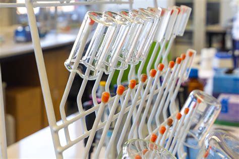 화학 유리 제품이 홀더에 건조됩니다 화학 과학 실험실에서 유리 비커 0명에 대한 스톡 사진 및 기타 이미지 0명 Dna Stem 주제 Istock