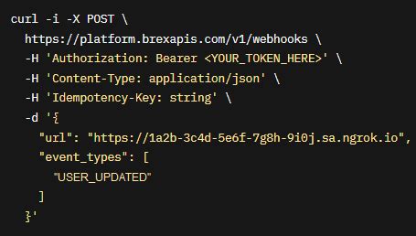 Brex Webhooks Ngrok Documentation