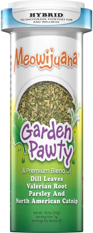 Deals On Catnip And Cat Grass Free Shipping Chewy