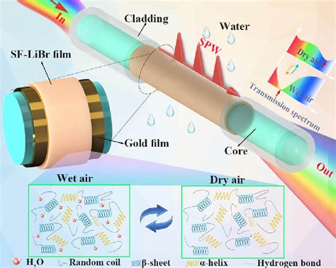 Schematic Diagram Of The Spr Sensor Download Scientific Diagram