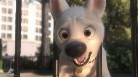 Bolt Disneys Bolt Photo 31171058 Fanpop