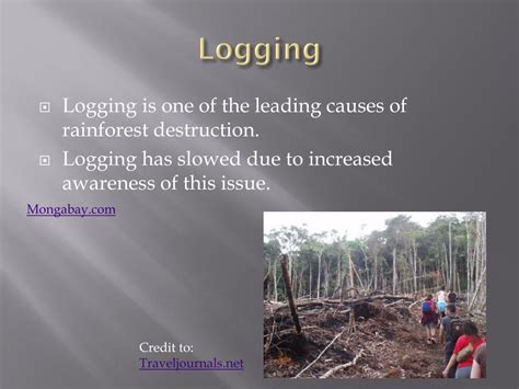 PPT Logging PowerPoint Presentation Free Download ID