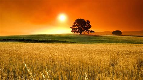 Best Of The Best Top Rated Desktop Backgrounds For Your Desktop