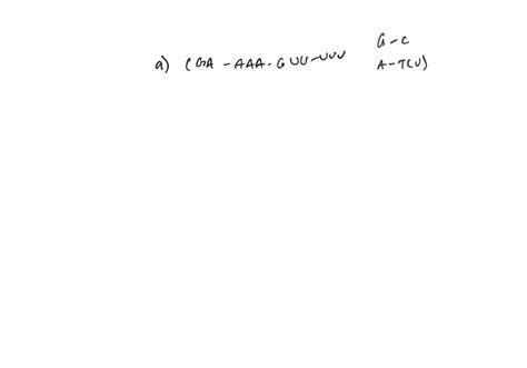solved the following is a segment in a dna template strand 18 4 18 5