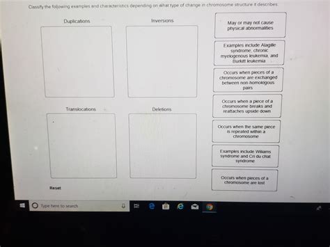 Solved Classify The Following Examples And Characteristics
