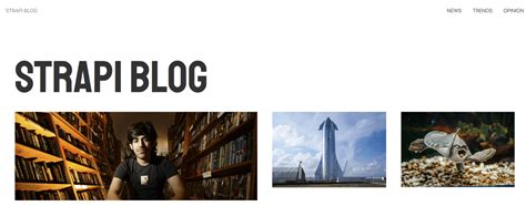 how to create a simple react js blog gomycode kenya learn digital skills