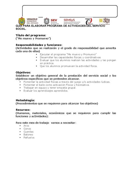 Formato Ss 02 Programa De Actividades GuÍa Para Elaborar Programa De