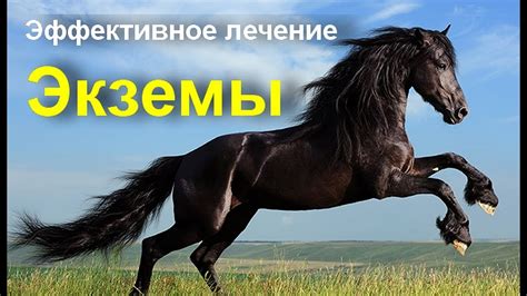 Лечение экземы на руках и ногах Как вылечить экзему народными средствами № 3 Все ищут этот