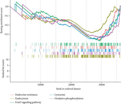 A Sankey Diagrams Used To Summarize The Data On The Nine Selected