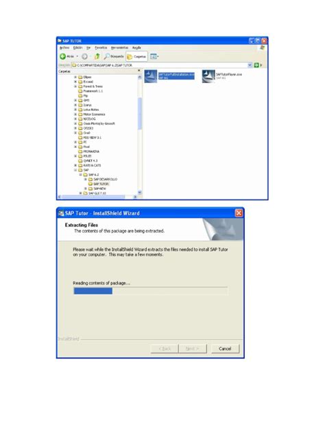 manual de sap pdf
