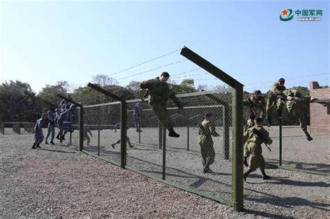 国防部回应中俄防长会谈：两军关系持续高位运行手机新浪网