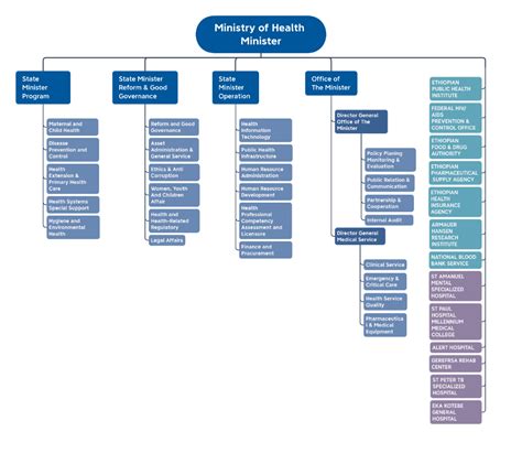 Ministry Of Health Organizational Structure MINISTRY OF HEALTH