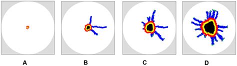 Evolution Of Simulated Tumor In Homogeneous Ecm With The Mutation Download Scientific Diagram