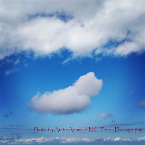 Passing Clouds Called To Write