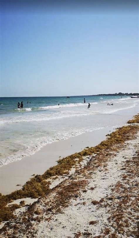 More Updates Scrolller