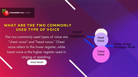 Understanding Vocal Dynamics What Are The Two Commonly Used Types Of Voice