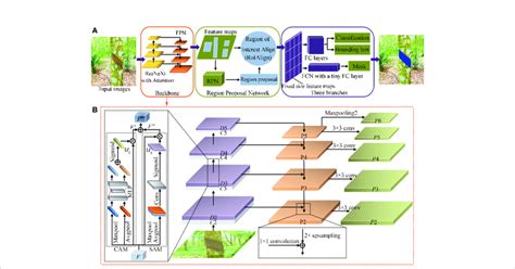 A Structure Of Natural Rubber Tree Tapped Area Detection And Download Scientific Diagram