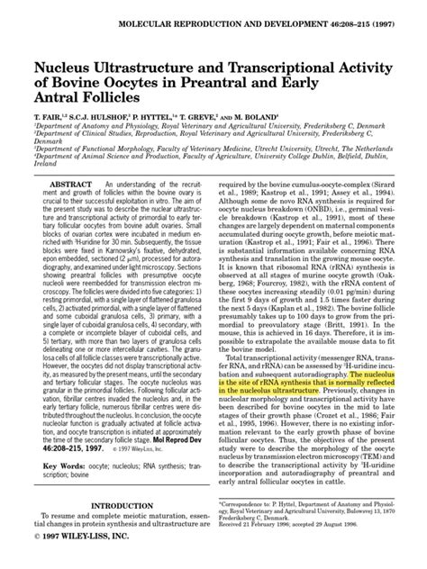 Nucleus Ultrastructure And Transcription Pdf Cell Nucleus Ovary