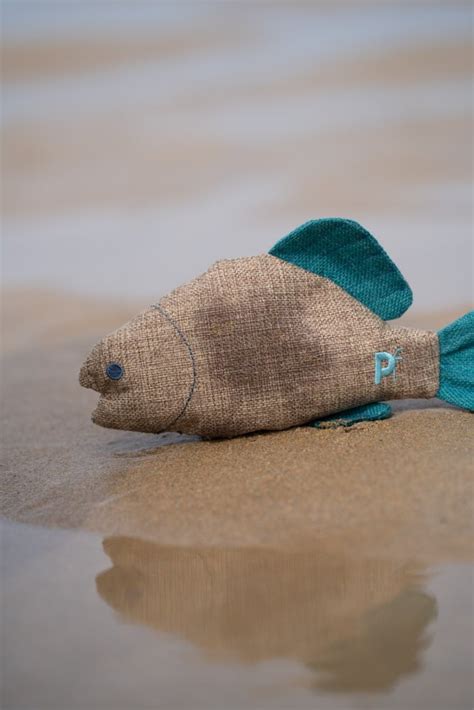 Large Catnip Fish Plush Cat Toy Petface By Leisuregrow Products Ltd