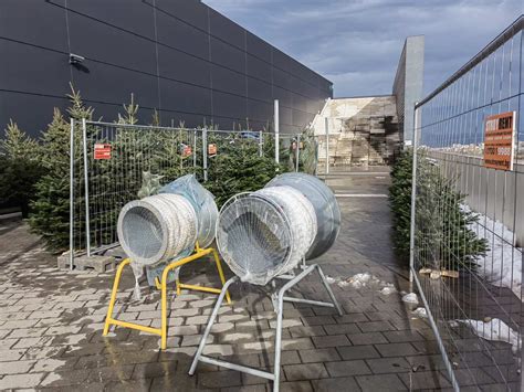 Коледни елхи на достъпни цени ⋆ Elha Bg