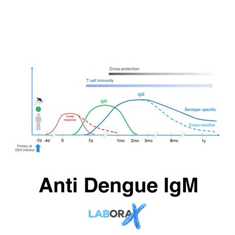 Dengue Igg Reagente E Igm Não Reagente BRAINCP