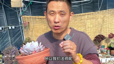冬天還能不能種多肉植物？多少度適合多肉生長？ Youtube