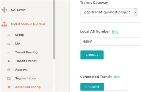 Aviatrix Spoke Gw And Workload Vms In Same Gcp Shared Vpc Subnets Netjoints