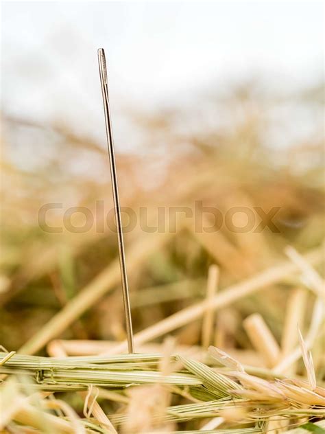 Needle In A Haystack Saying For Challenge In Managemen Stock Image