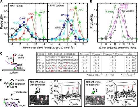 Figures And Data In Single Molecule Tracking Of The Transcription Cycle By Sub Second Rna