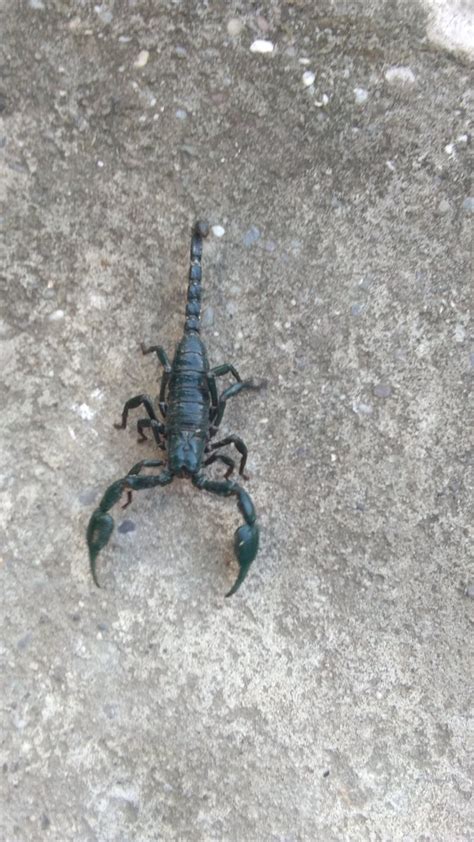 Sherdy Sherdy33085549 Twitter