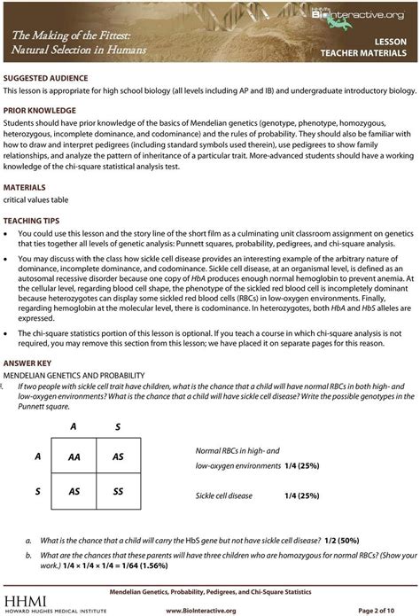 Mendelian Genetics Worksheet Answers Artofit
