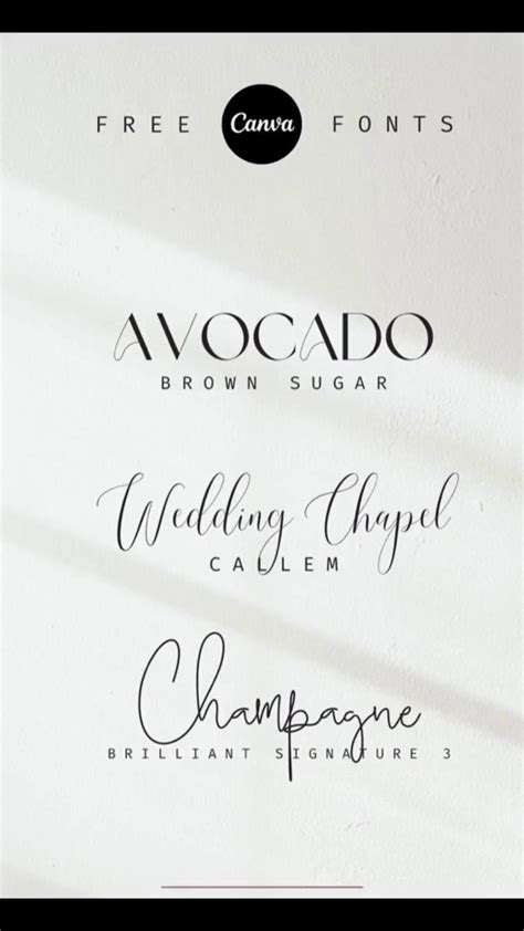 19 Best Canva Cursive Fonts For Scroll Stopping Designs Artofit