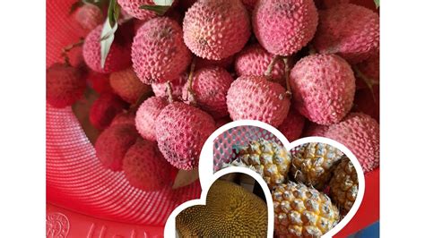 হোটেল খাইলাম আর আম্মু বাসায় গিয়ে মজার মজার খাবার পাইলাম😋 Youtube