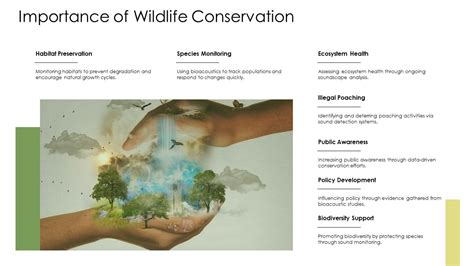 Top 10 Wildlife Conservation Powerpoint Presentation Templates In 2025