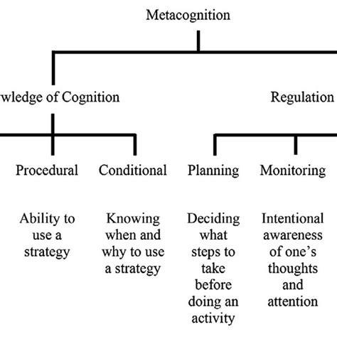 Theoretical Framework Of Metacognition Download Scientific Diagram