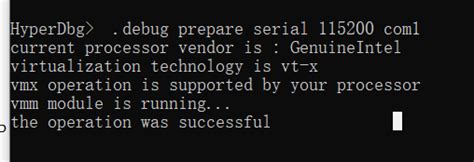 Debug Command Error · Issue 36 · Hyperdbghyperdbg · Github