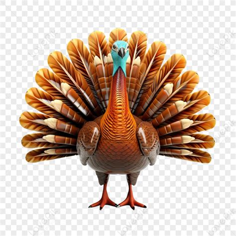 추수감사절 개체 칠면조 새 3d 그림웃다화려한 Png 일러스트 무료 다운로드 Lovepik