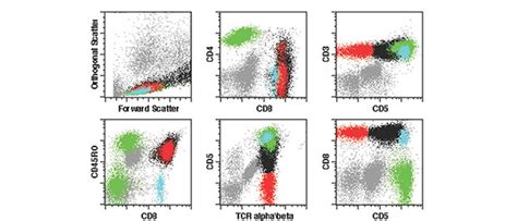 10 Color Flow Cytometry University Of Iowa Diagnostic Laboratories