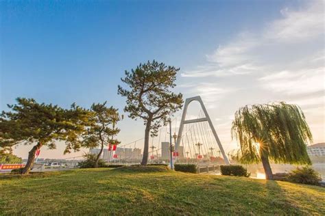 寿光图片 蔬菜高科技示范园 大山谷图库