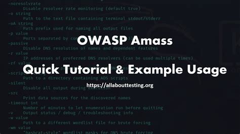 Owasp Amass Quick Tutorial And Example Usage All About Testing