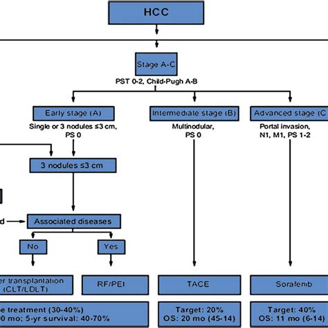 Updated Bclc Staging System And Treatment Strategy Easl Eortc Clinical Download Scientific