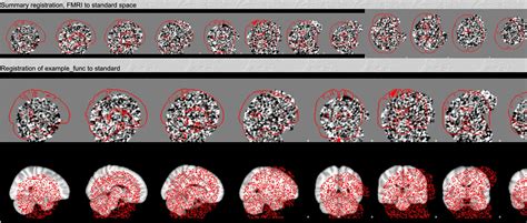 Using Combination Of Fmriprep Tedana Xcp D And Fsl Feat To Create A Seed Based Functional